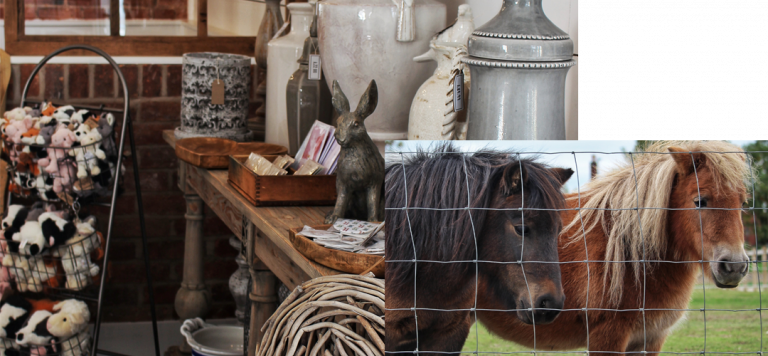 Church Farm Anslow – Tea Rooms and Childrens Farm